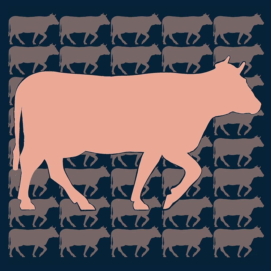 Unleashing Creativity: Cartoon Cat PNG Images - PNG IMG TREE